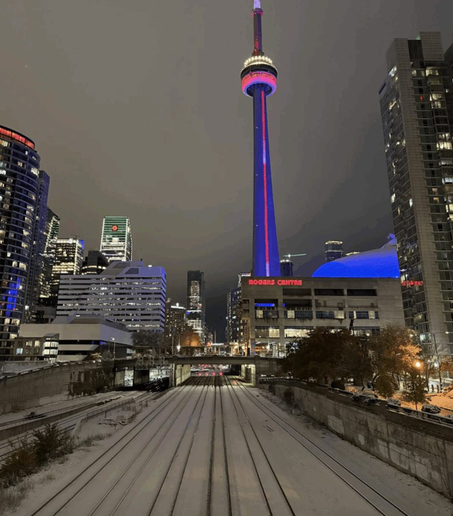 Here's how Toronto is reacting to all this snow