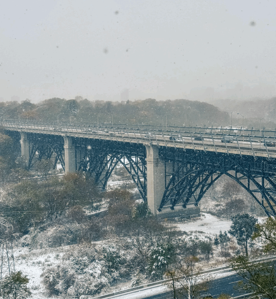 Here's how Toronto is reacting to all this snow
