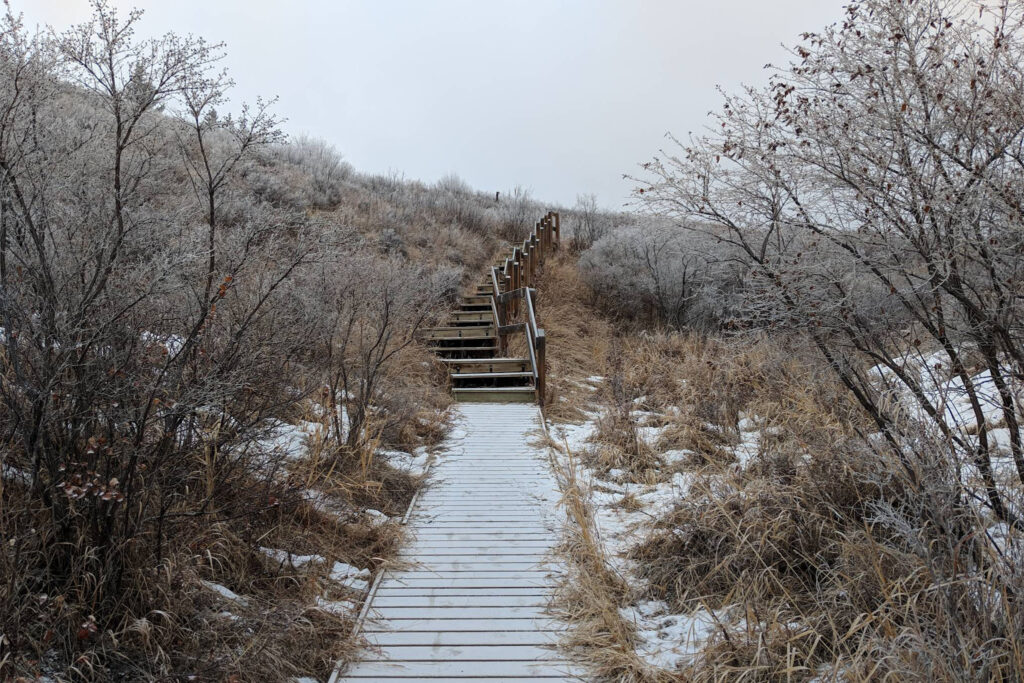A boardwalk in Calgary's 'waterfall valley' feels like leaving Alberta