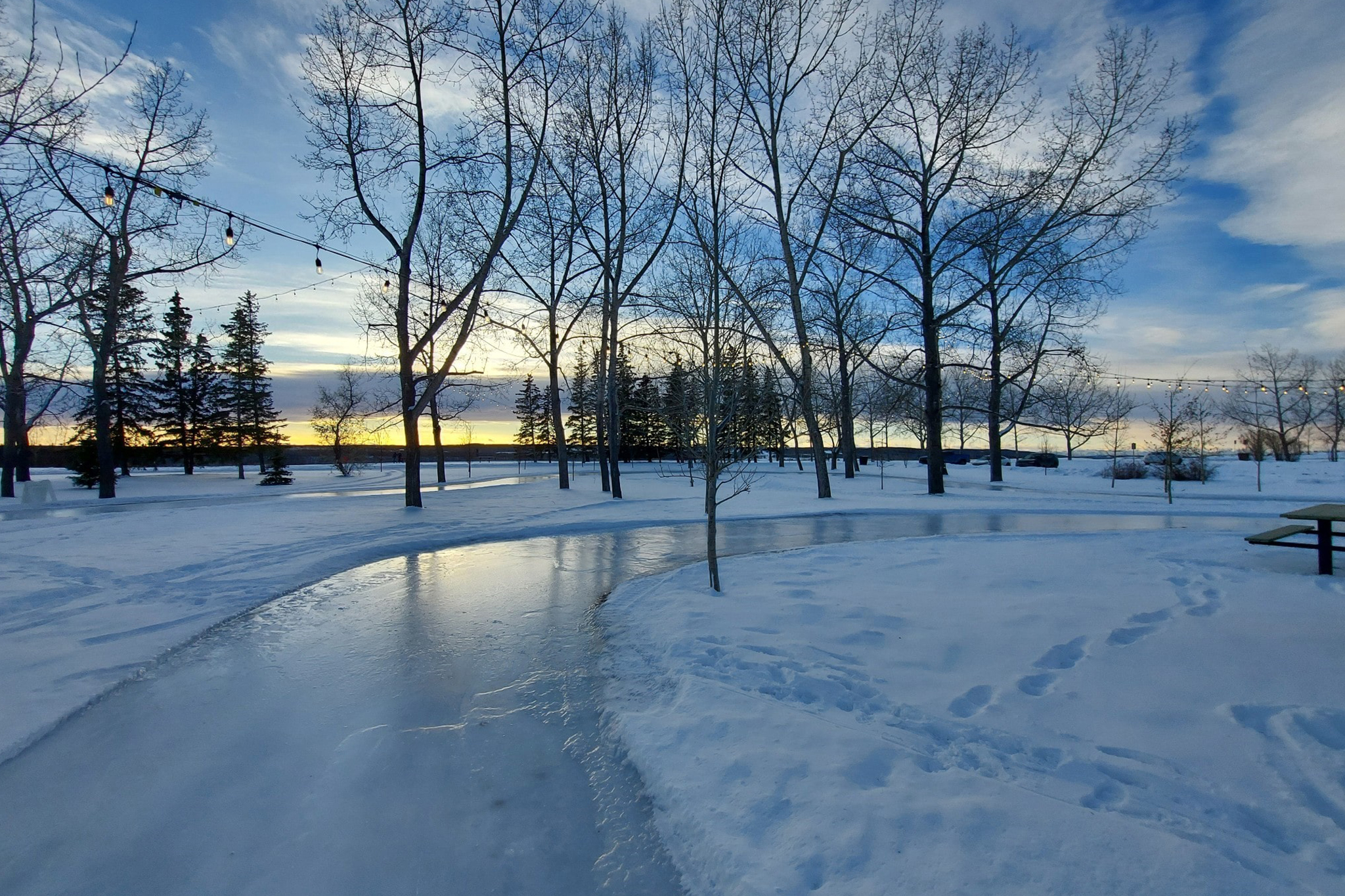 Skate on an ice trail that stretches over 1.5 km in a Calgary park
