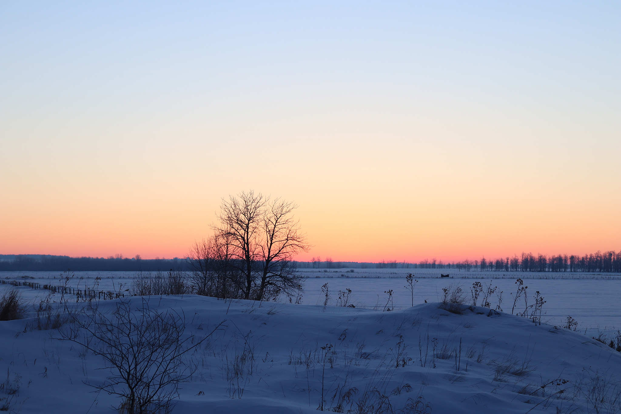 Here are all the places you can skate outdoors on wild ice in Alberta